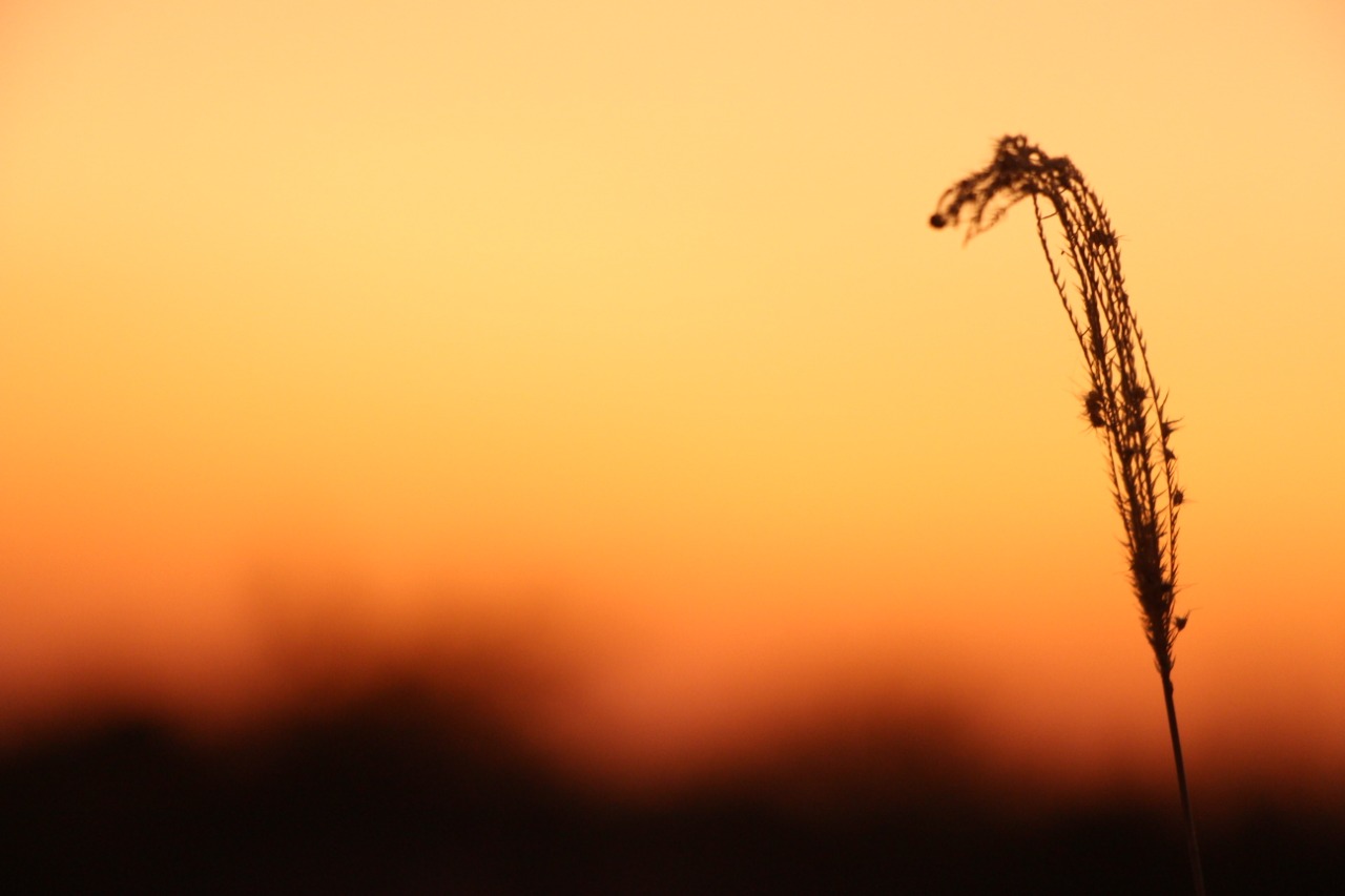 Se anuncia día cálido a caluroso con vientos del noreste – RCC