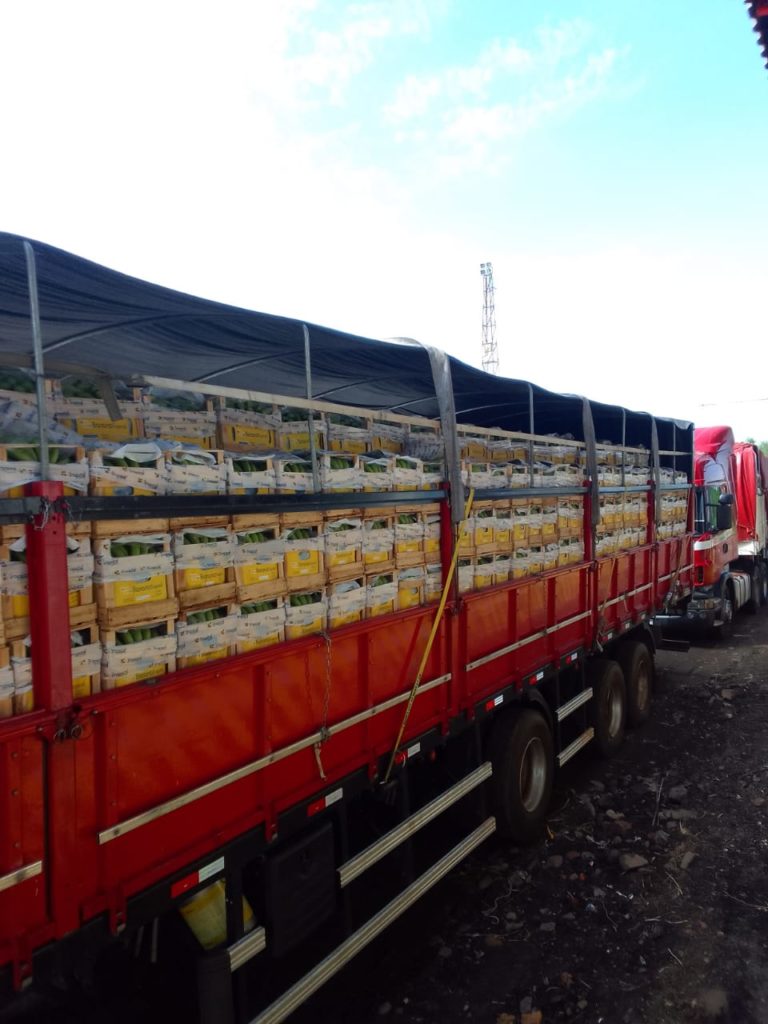 SENAVE inspecciona productos a exportarse en su puesto de control de ...