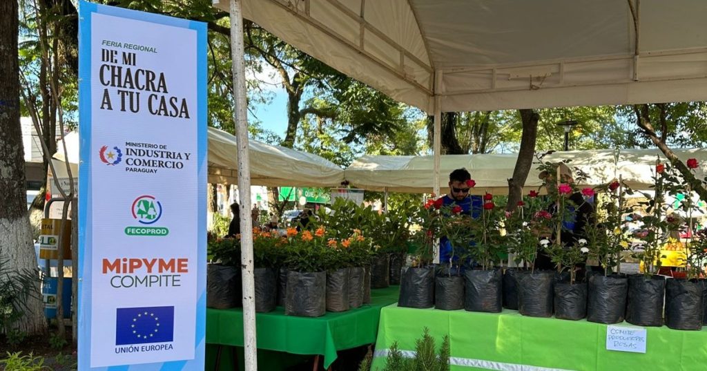 Volvió la feria de productores «De mi chacra a tu casa» – RCC